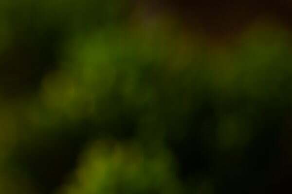 Tout savoir sur le fichier PST : définition et rôle dans la gestion des ...